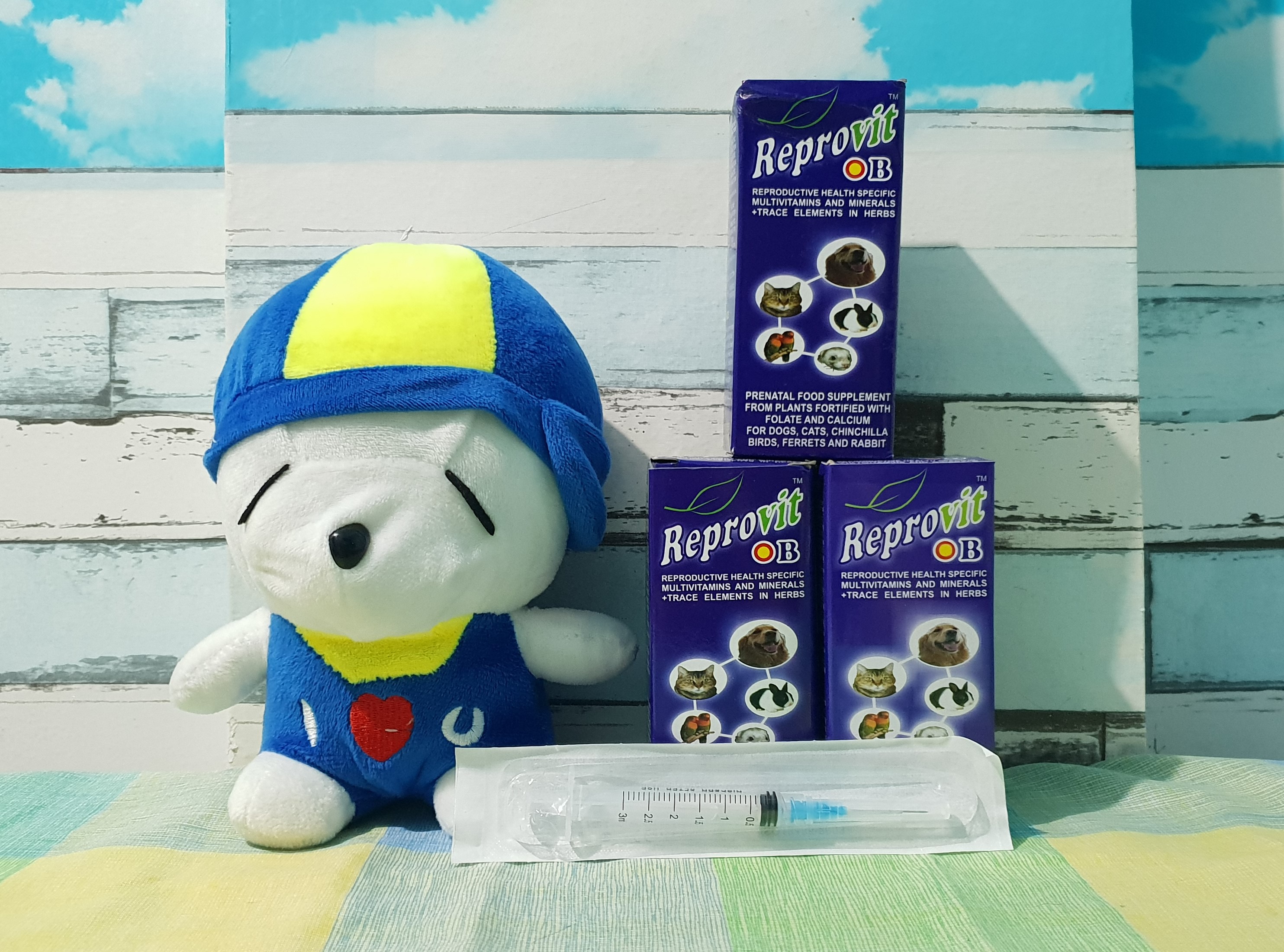 REPROVIT OB 120ML W/ MULTIVITAMINS AND MINERALS PREGNANT DOG with 1 ...