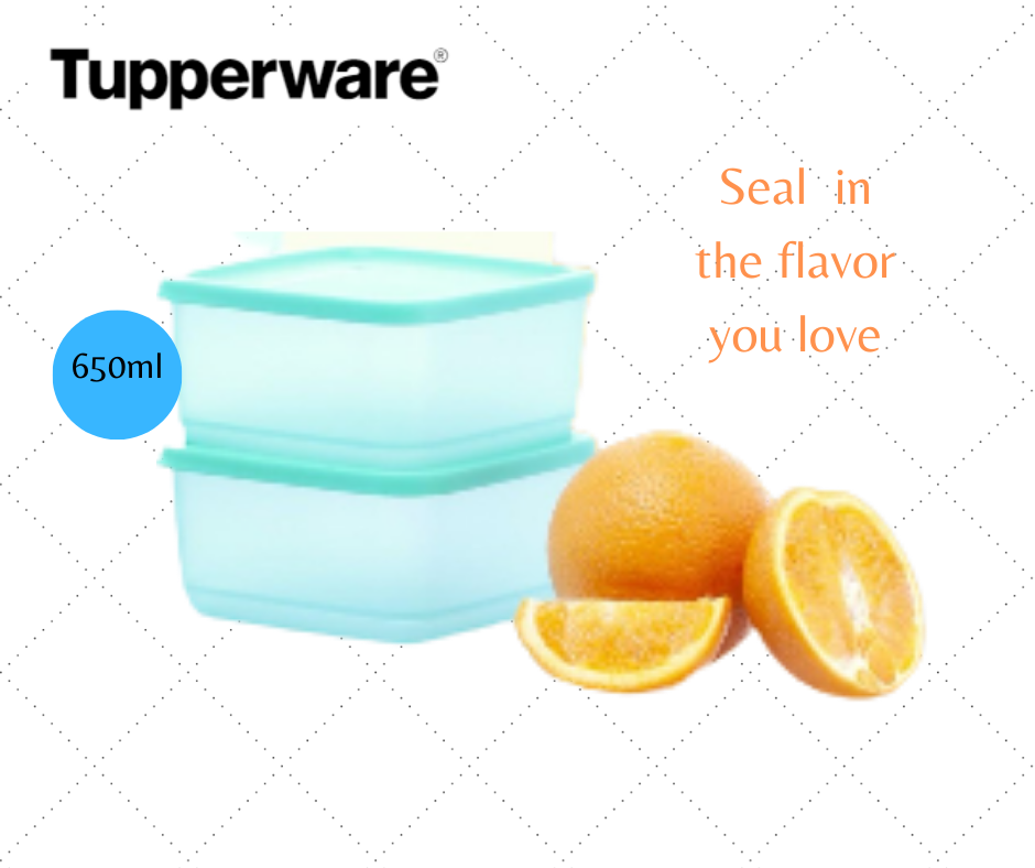 Tupperware Fridgemates Small Square Rounds (650ml) | Lazada PH