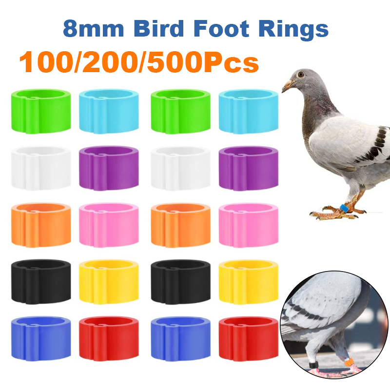 100Pcs singsing ng kalapate 2023 Plastic identification Clip ring for ...