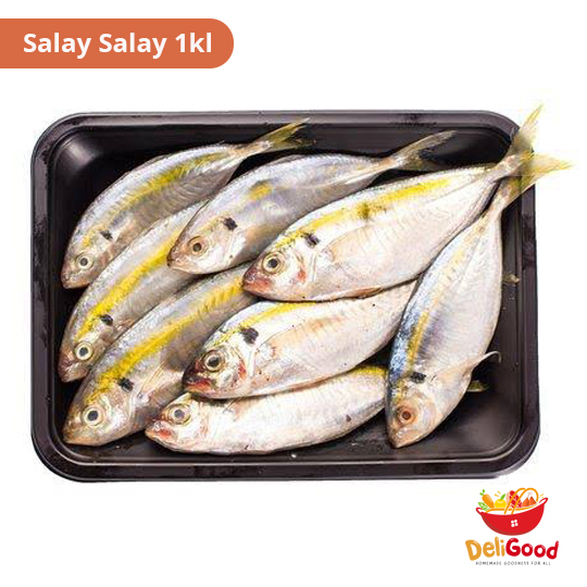 Salay Salay 1kl | Lazada PH