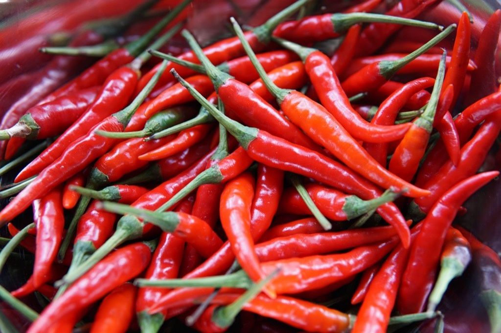 M&A PHC (500 Seeds) Siling Labuyo Red Hot Pepper Taiwan Chili Red Seeds ...