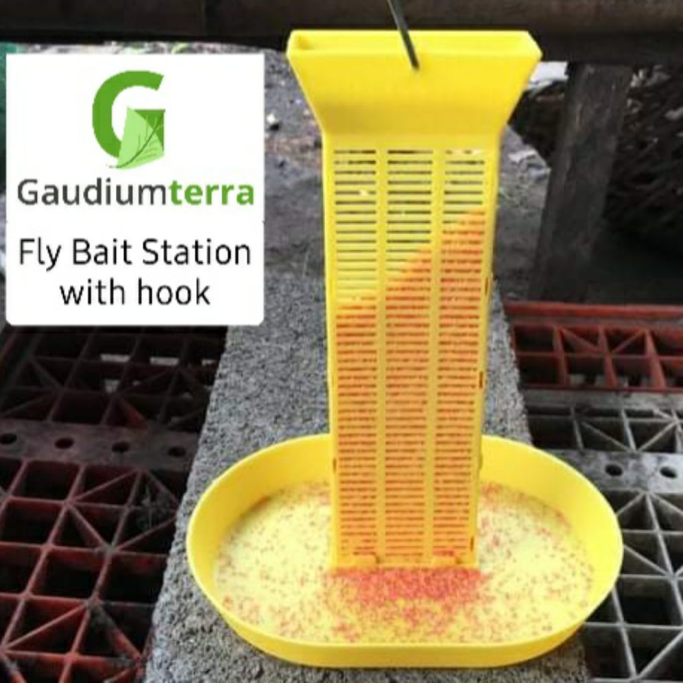 Fly Bait Station | Lazada PH