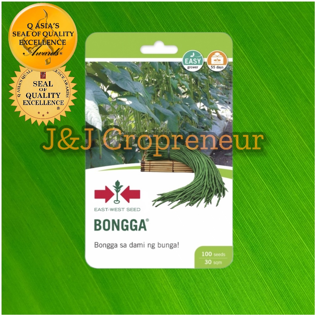 BONGGA (100 SEEDS) POLE SITAO DARK GREEN BY EAST WEST SEEDS | Lazada PH