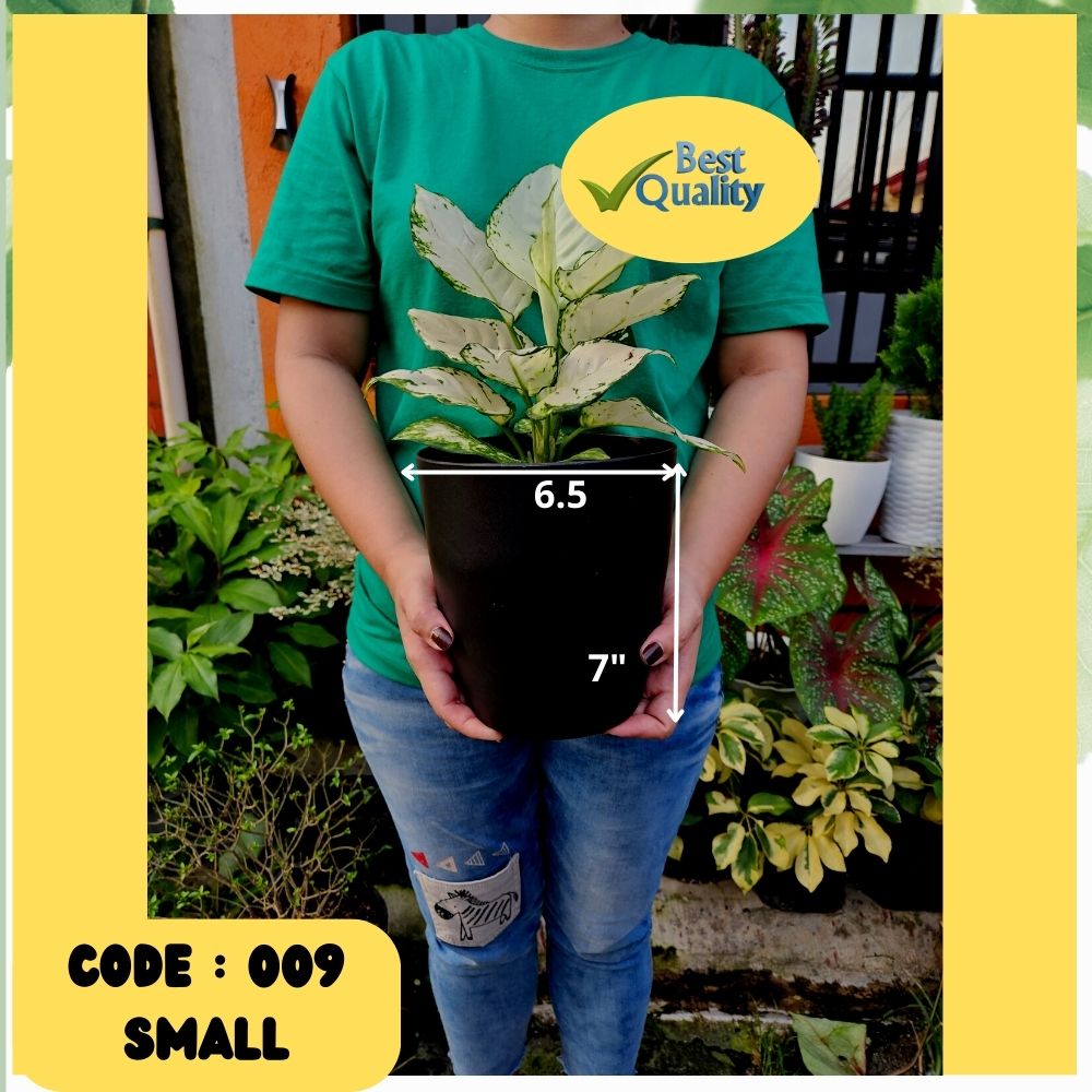 TGH |Elegant Pearlwave Black Yayamanin flower pots for plants indoor ...