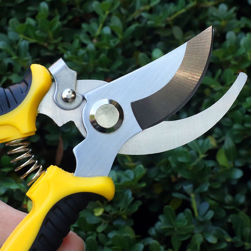 Garden Fruit Shears Tree Branch Shears Garden Shears -slip Labor-saving ...