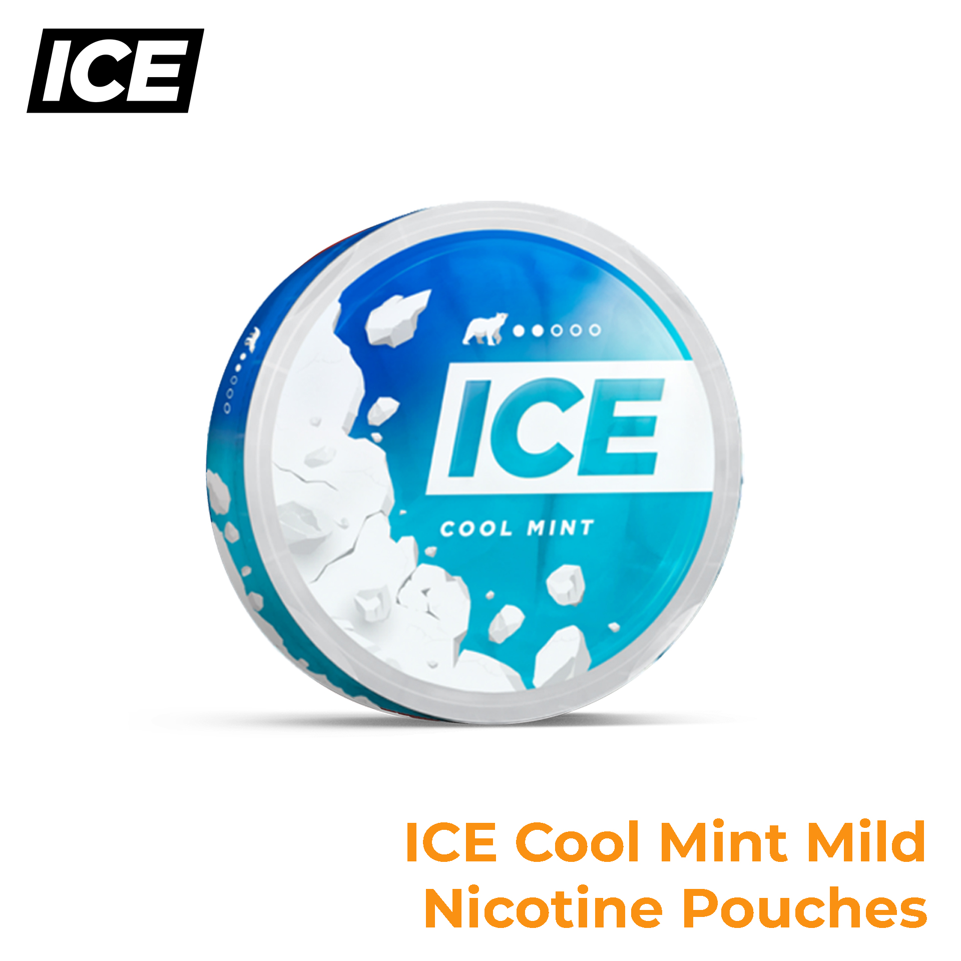 ICE Cool Mint Mild Nicotine Pouches | Lazada PH