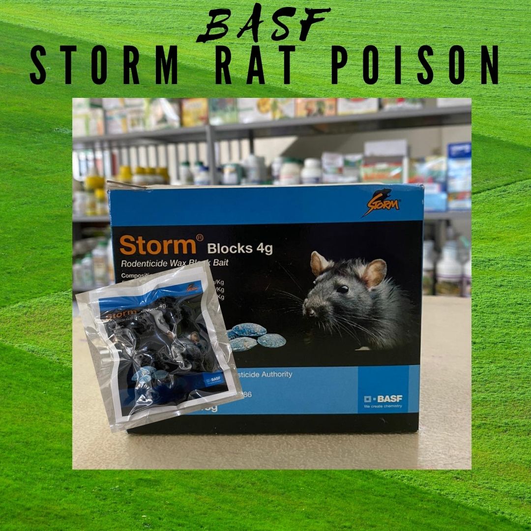 BASF 4g Storm Block RAT POISON | Lazada PH