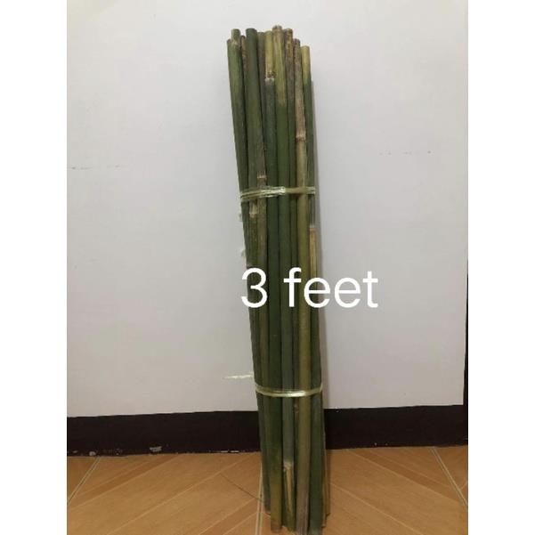 hot Bamboo stick Plant Pole Buho Kawayan Plant Support Plant Stick Base ...