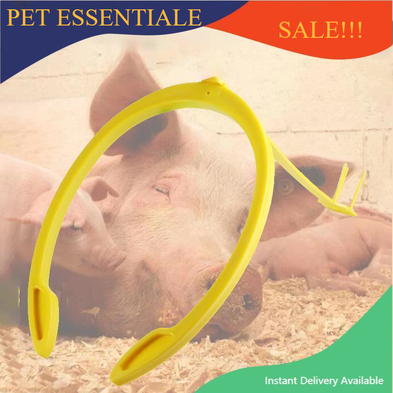 SOW AI BUDDY Sows Insemination Clip Insemination Bracket Sows ...