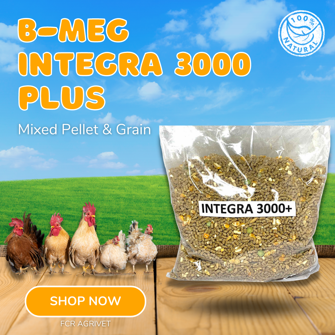 [FCR AGRIVET] 1kg B-MEG Integra 3000 Plus Free Range Chicken Ready ...