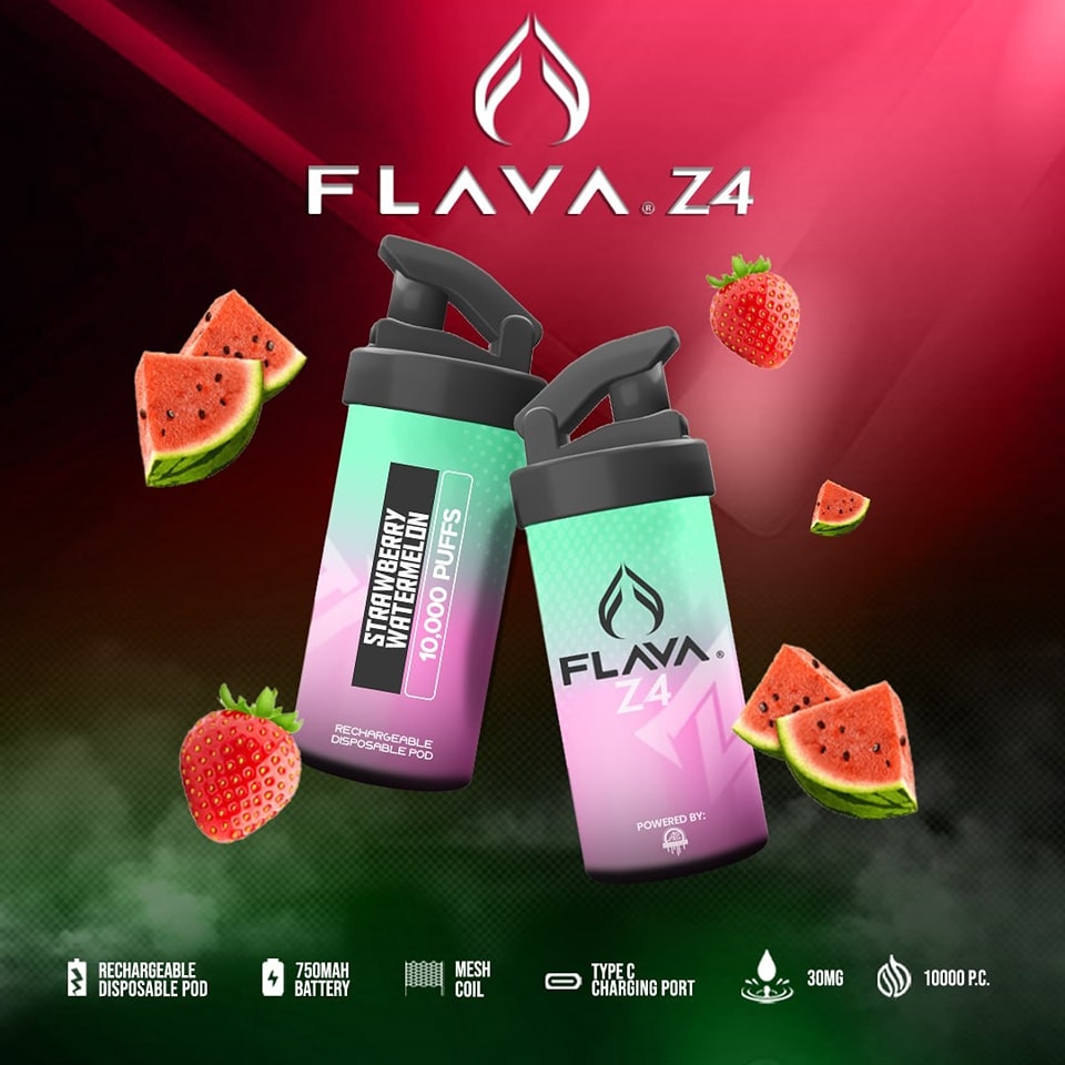 {Legit} Flava Z4 10000 Puffs Disposable Pod 750 mAh Mesh Coil Type C ...
