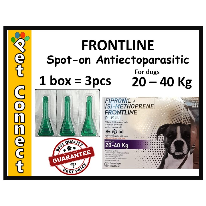 What Is The Best Frontline For Dogs