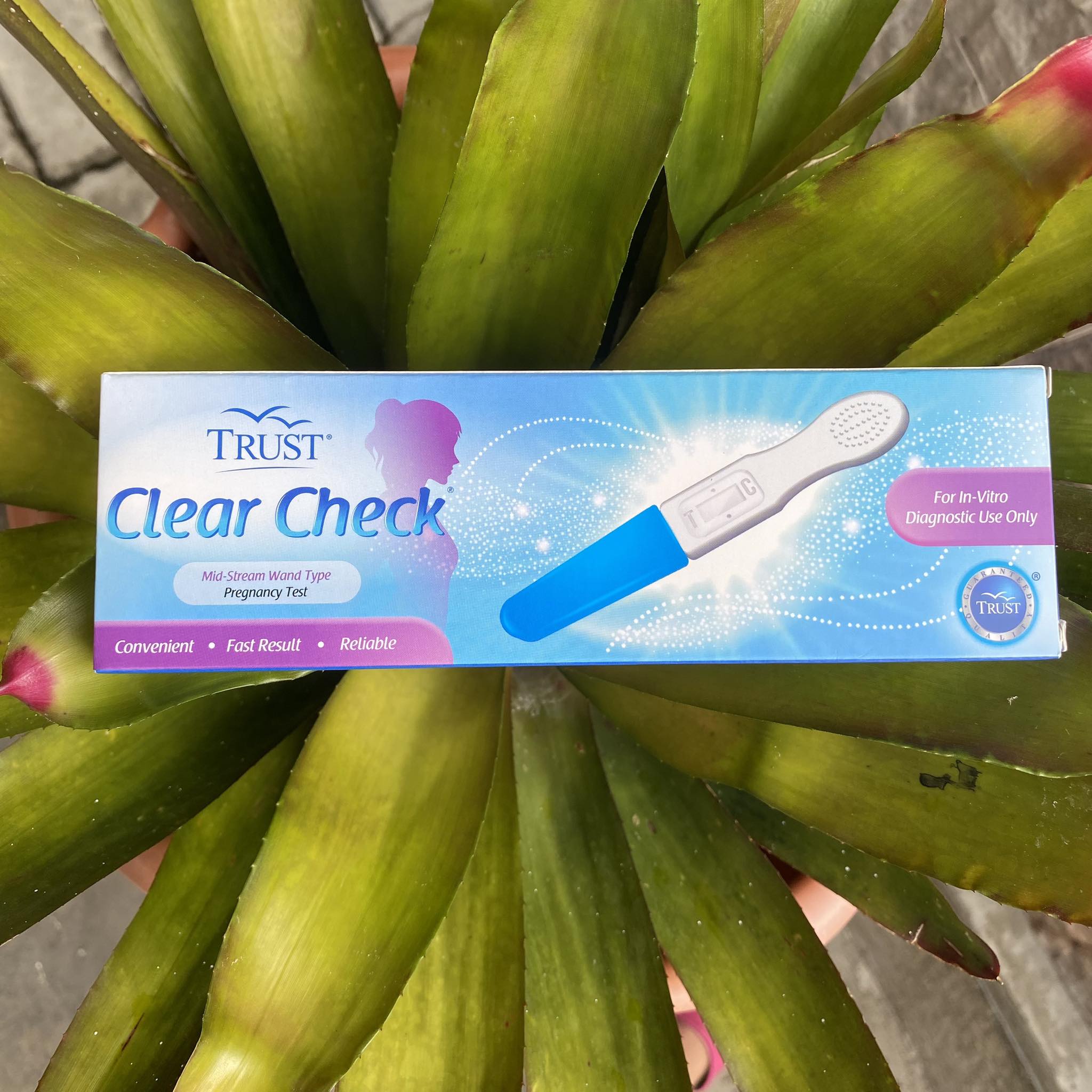 TRUST Clear check Pregnancy Test (Wand Type) | Lazada PH