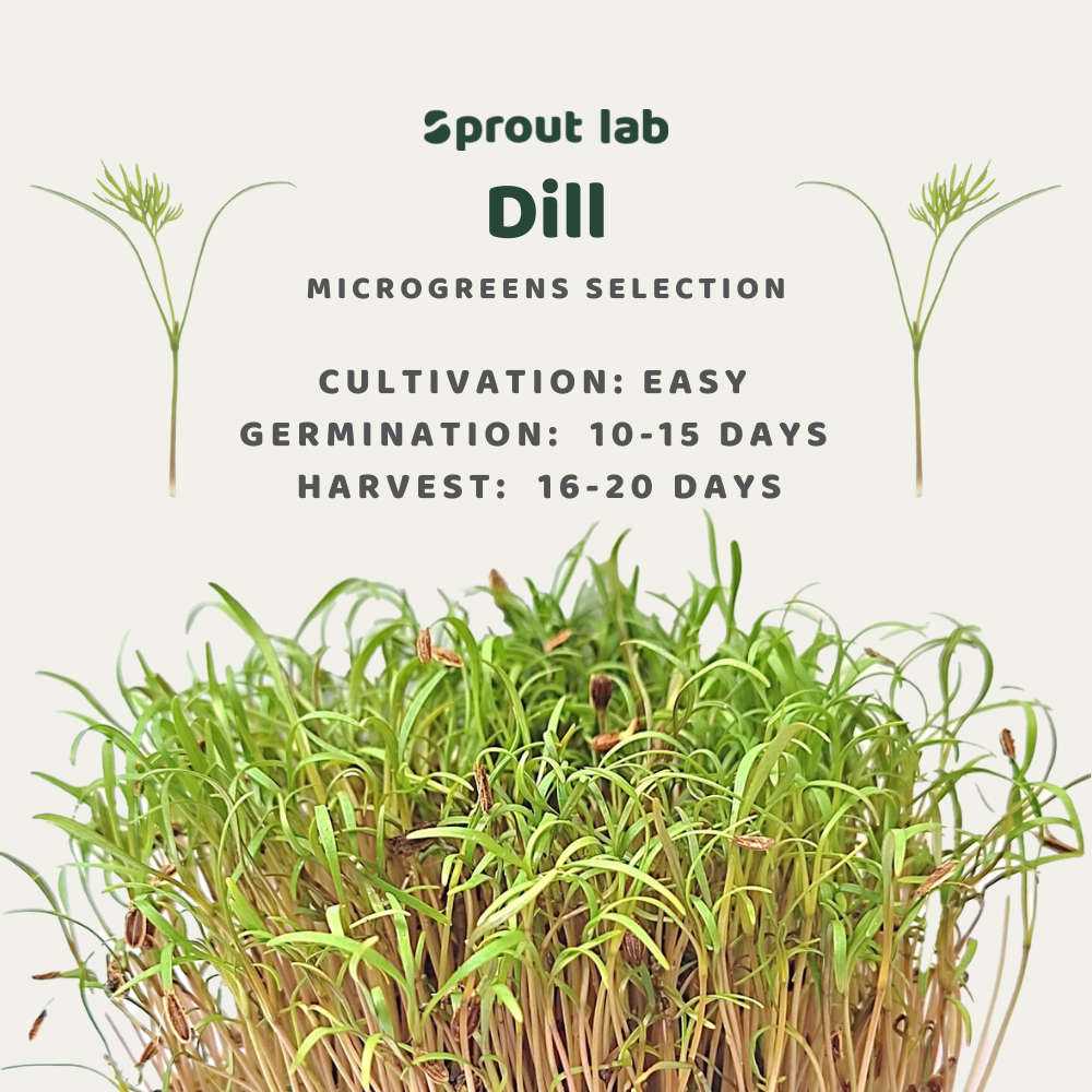 Sprout lab | Organic Microgreen Seeds - High Germination | Vegetable and Herb Seeds 50pcs ...