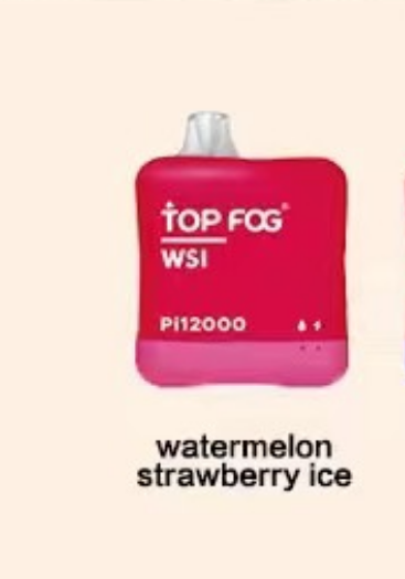 Top Fog 12000 Puffs Disposable Pod - Rich Flavor | Complete Kit with ...
