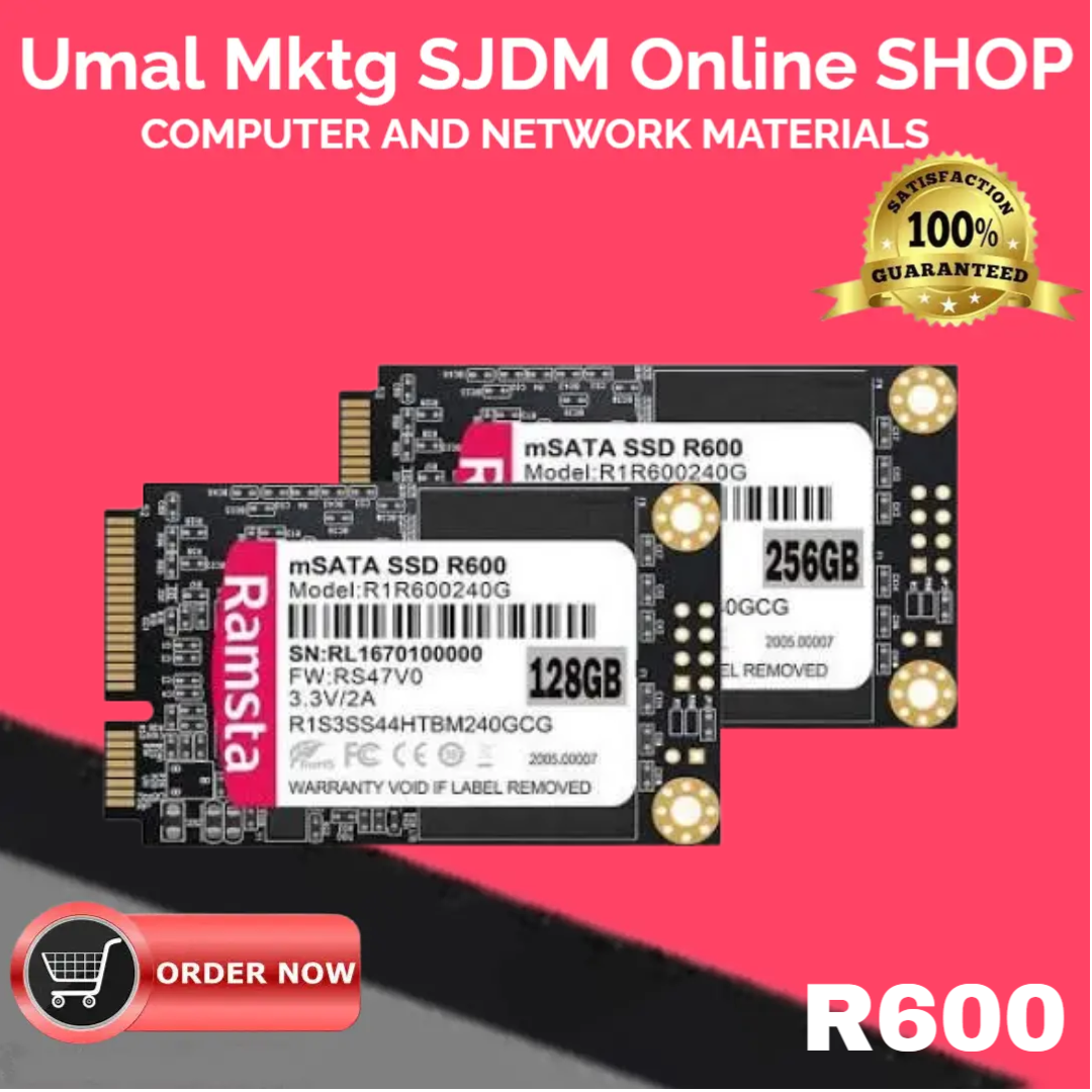 RAMSTA R600 MSATA HD Hard Disk 2242 128GB/256GB SSD Solid State Drive ...