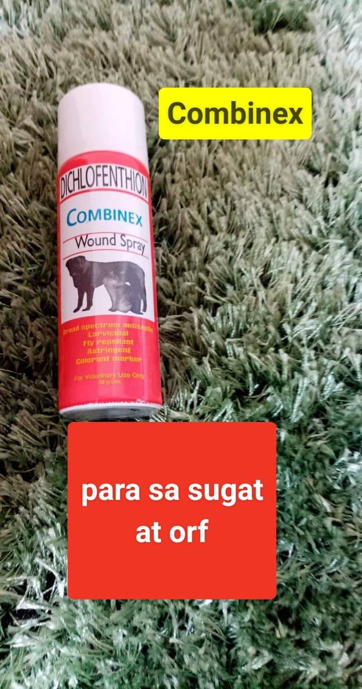 COMBINEX WOUND SPRAY 40 GRAMS | Lazada PH