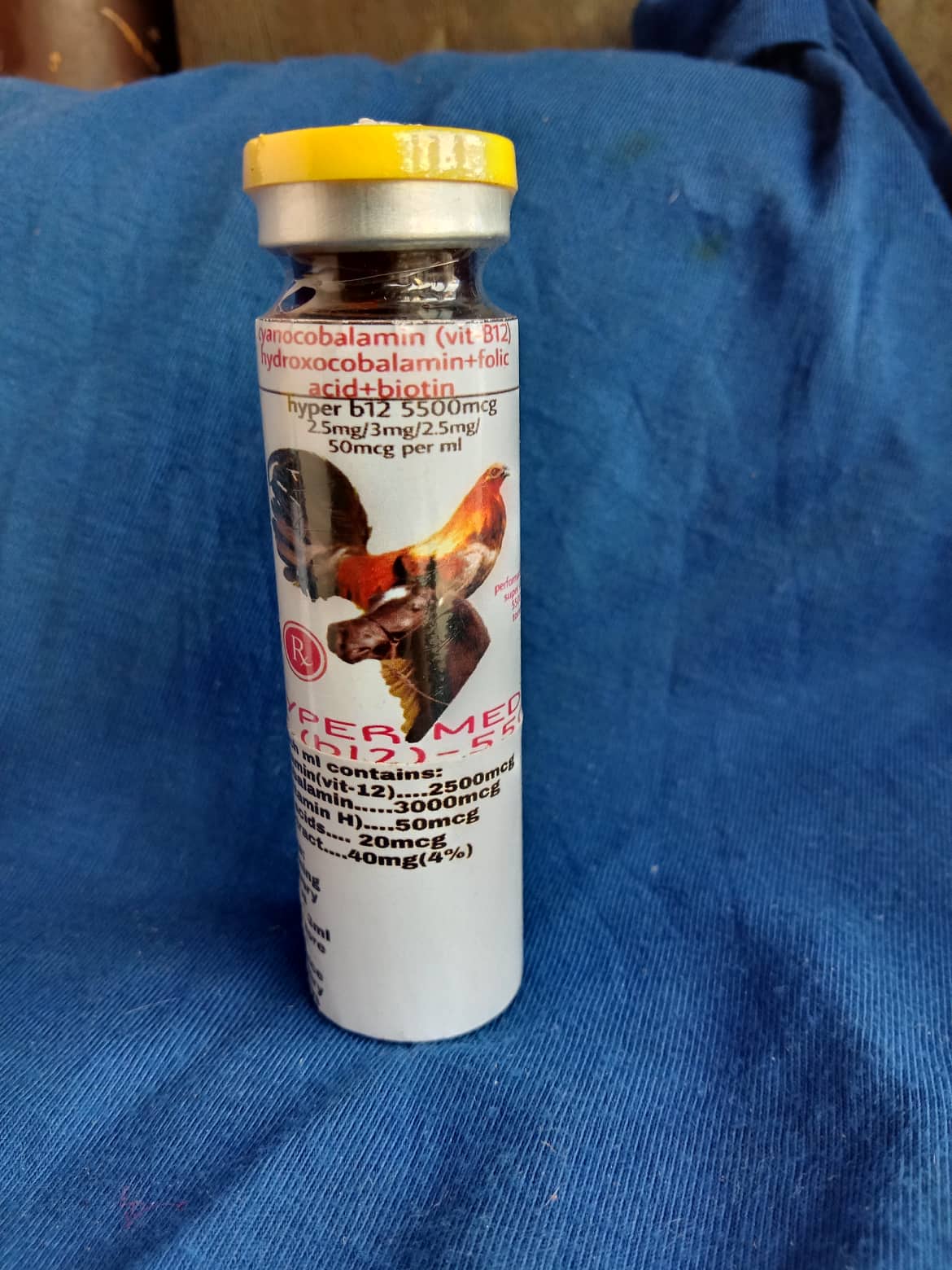 Accel Lifetime Capsule full vitamins 1bottle 60pcs | Lazada PH