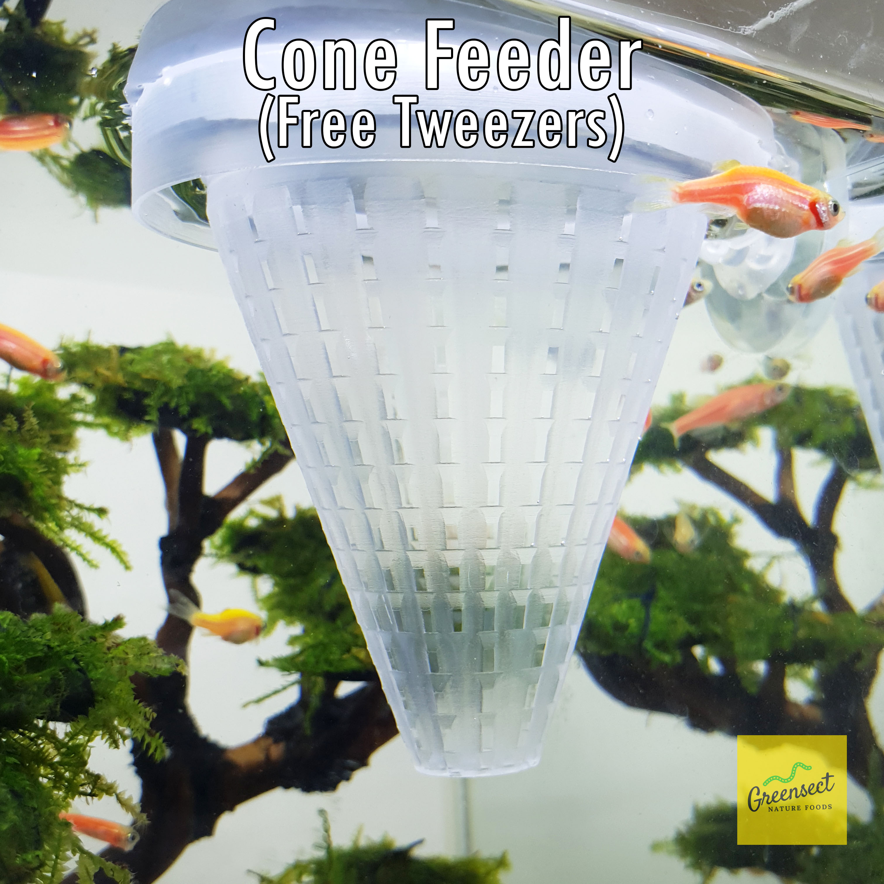 3pcs CONE FEEDER with tweezers for Bloodworms Tubifex feeding tool for ...