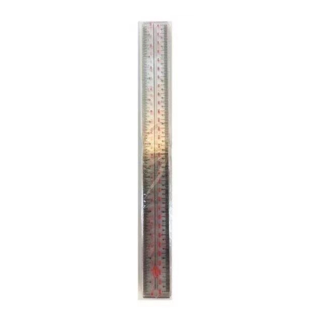 Transparent Plastic Ruler - Flexible Ruler - 12 inches or 220 ...