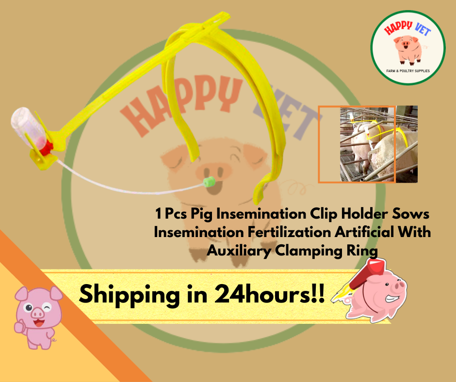 Pig Insemination Clip Sows Insemination Fertilization Artificial ...