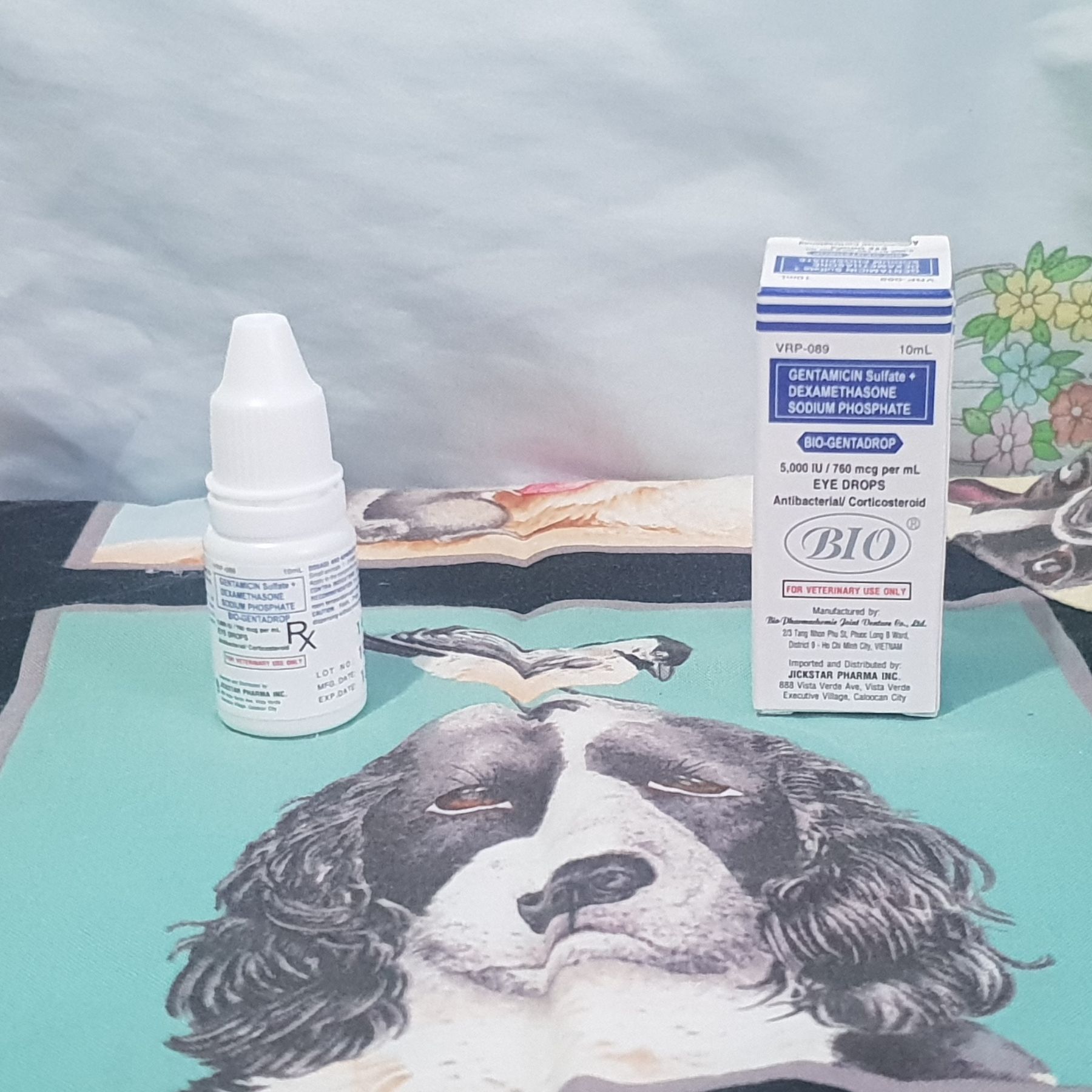 BIOGENTA EYE DROPS 10ML | Lazada PH