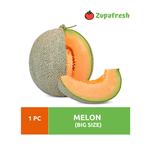 MELON FRUIT FRESH (1 PC) Zupafresh Fruits | Lazada PH