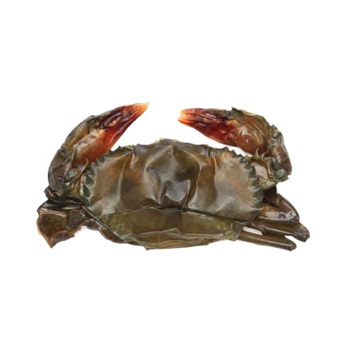 Blast Frozen Soft Shell Crab (100-150g) | Lazada PH