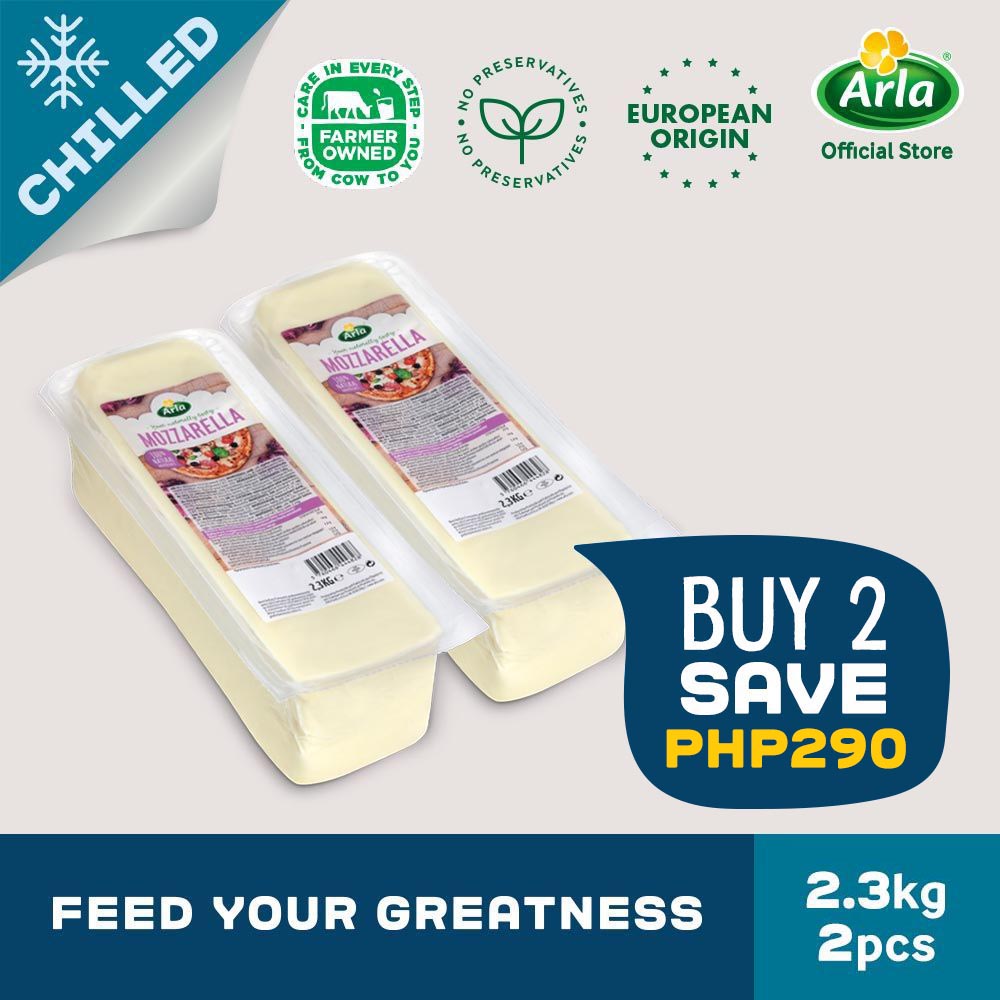 Arla Mozzarella Cheese Block 2.3kg 2-Pack | Lazada PH