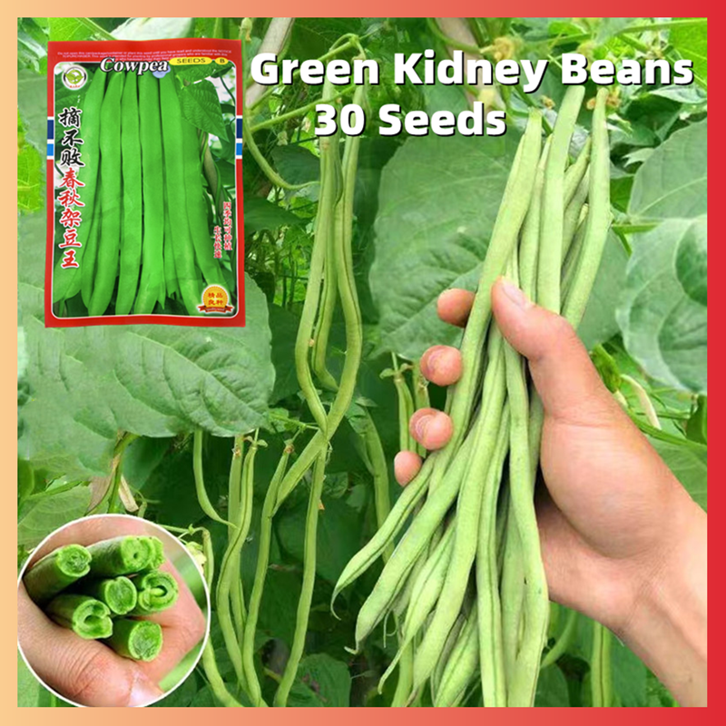 Organic Seeds Easy To Grow In Philippines - 30 Seeds High Yield Green ...