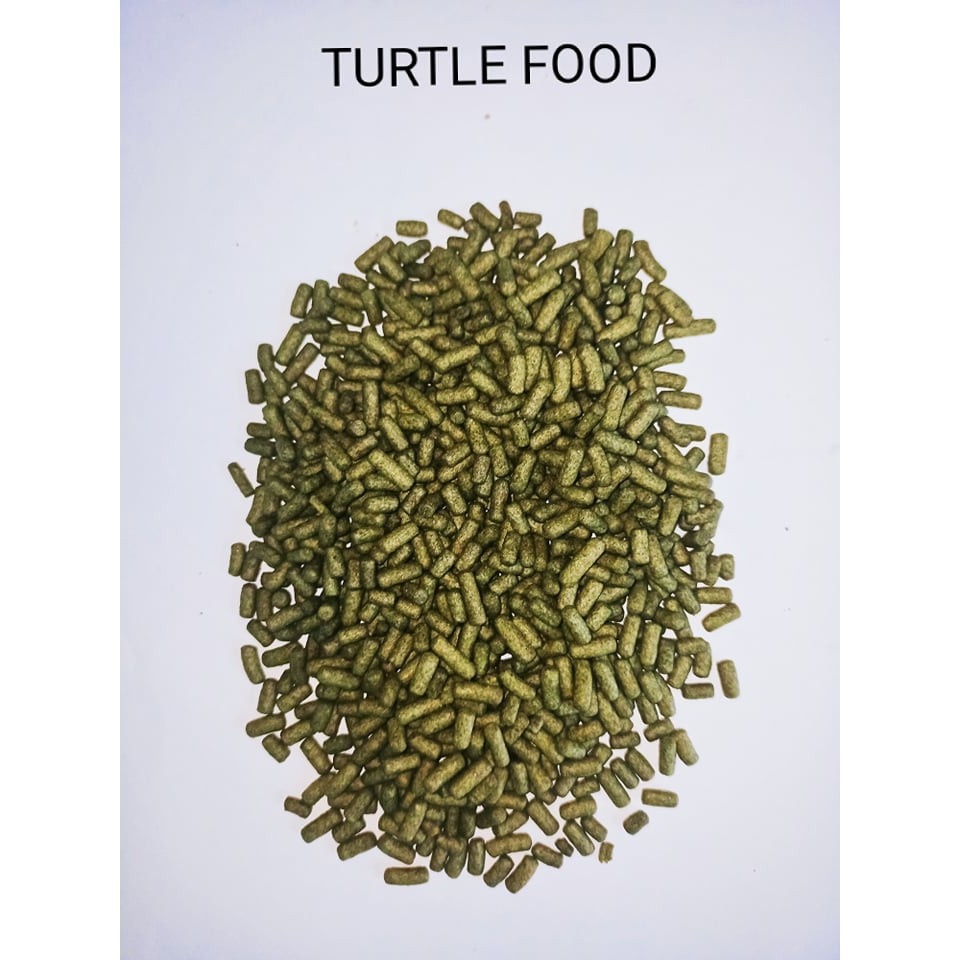 Turtle Food Pellets at Amy Dieter blog