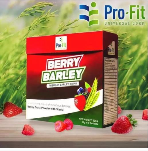 1 Box Profit Berry Barley - Original Premium Barley Drink. Barley Grass ...