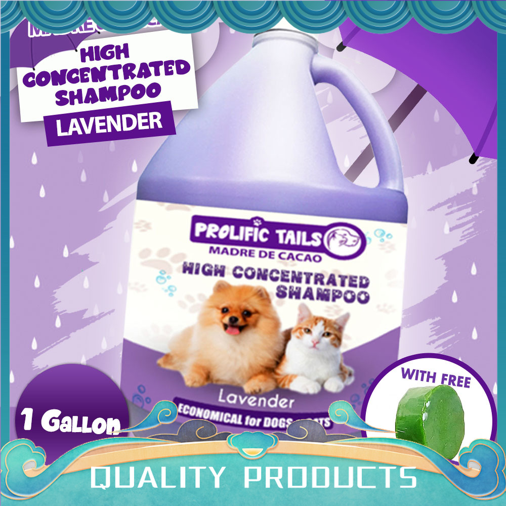 Prolific Tails 1 Gallon (3.78L) Madre De Cacao Shampoo (LAVENDER SCENT ...
