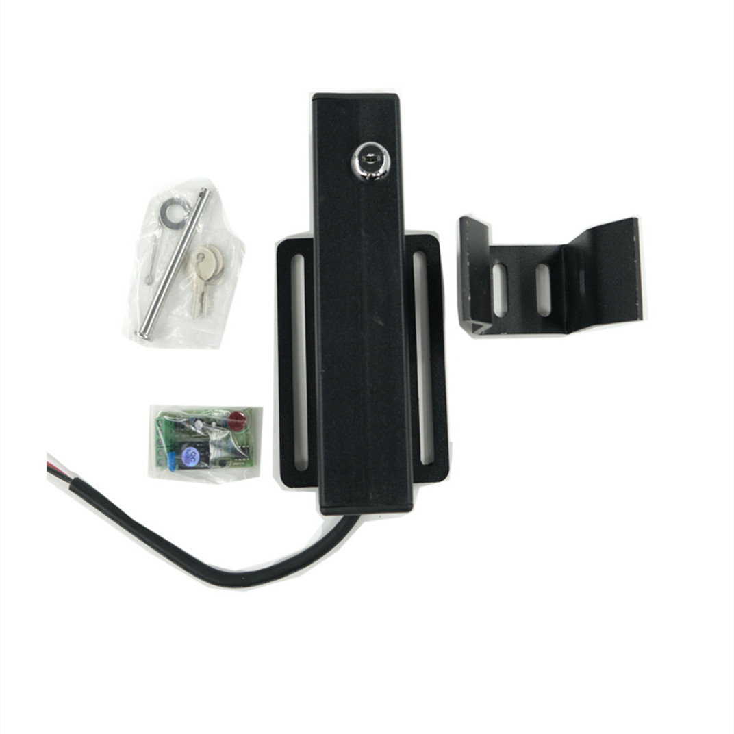 【Local delivery】 DC 12V Outdoor Waterproof Electric Automatic Door Gate ...