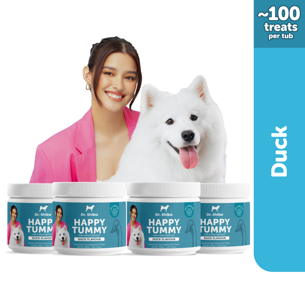 Dr Shiba Happy Tummy Healthy Dog Treats Snack - Dog Multivitamins - Dog ...