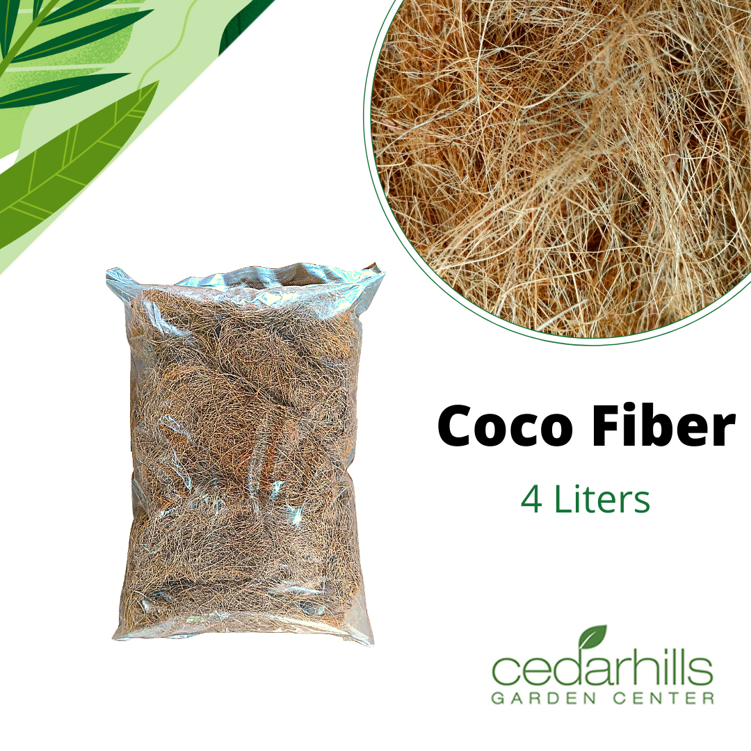 Cedarhills Garden Center Coco Fiber / Coco coir rough type for Coco ...