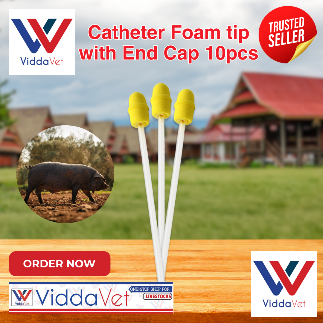 Foam tip Catheter with end cap for gilts for pigs 10pcs pig AI catheter ...