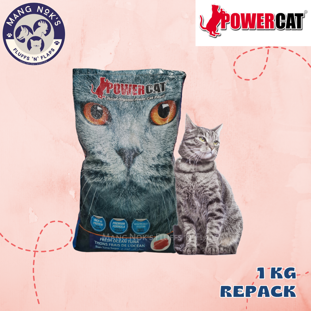 POWERCAT Fresh Ocean Tuna or Fish 1Kg Repack | Lazada PH