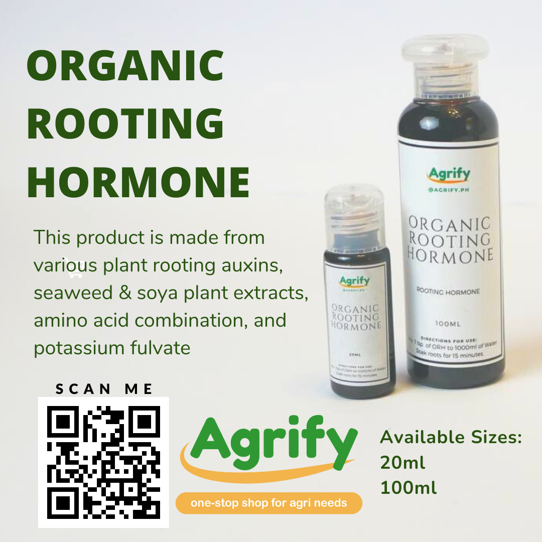 Organic Rooting Hormone 100ml | Lazada PH