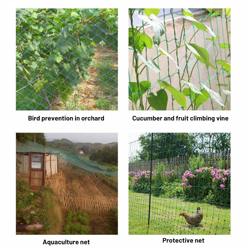 50m/100m Lambat Net for Chicken Farm Net for Chicken Chicken Net Nylon ...