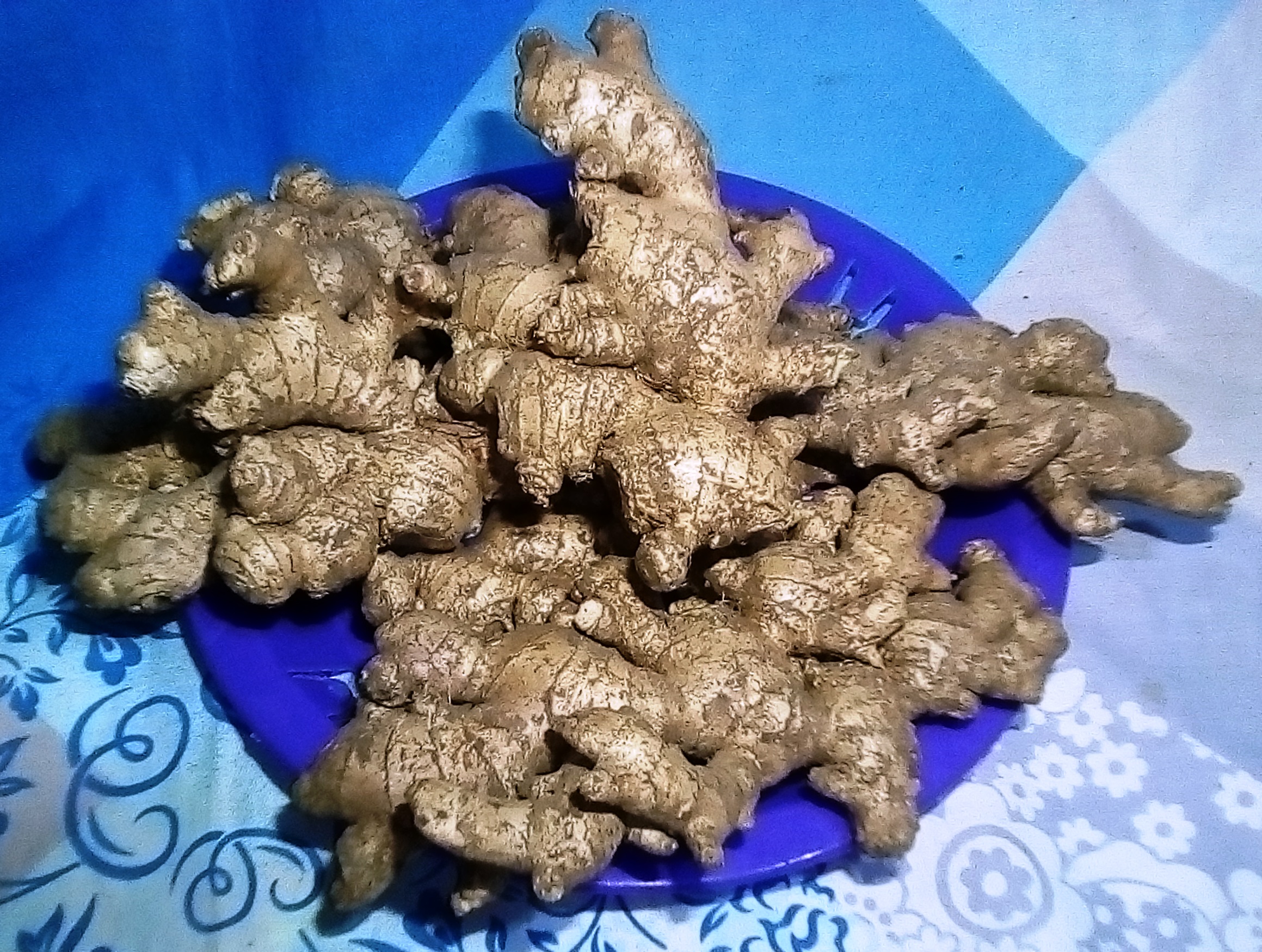 Native Luya 100% Ilocos Native Ginger Pampasarap na sa Pagkain ...