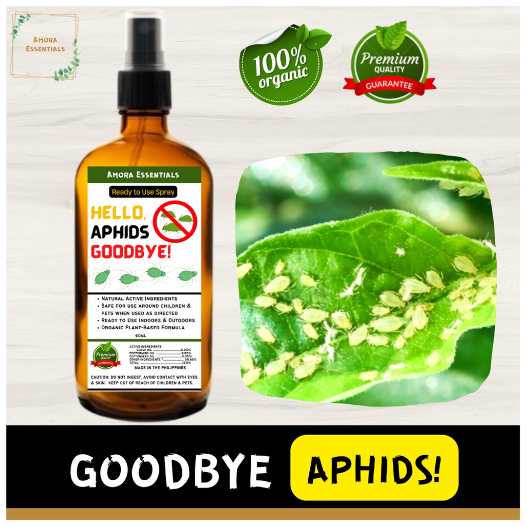 AMORA Essentials APHIDS Plant Spray Aphids, aphids control, aphids ...