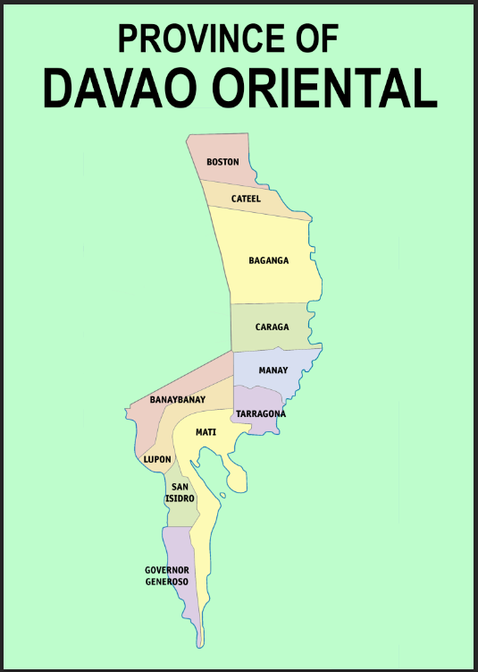 Davao Oriental Province Map Waterproof A4 Laminated Chart | Lazada PH