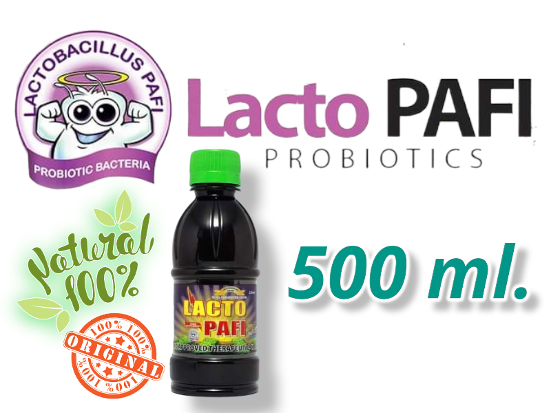 Lacto Pafi Probiotic Bacteria | Soya Fermented | lactobacillus Drink ...