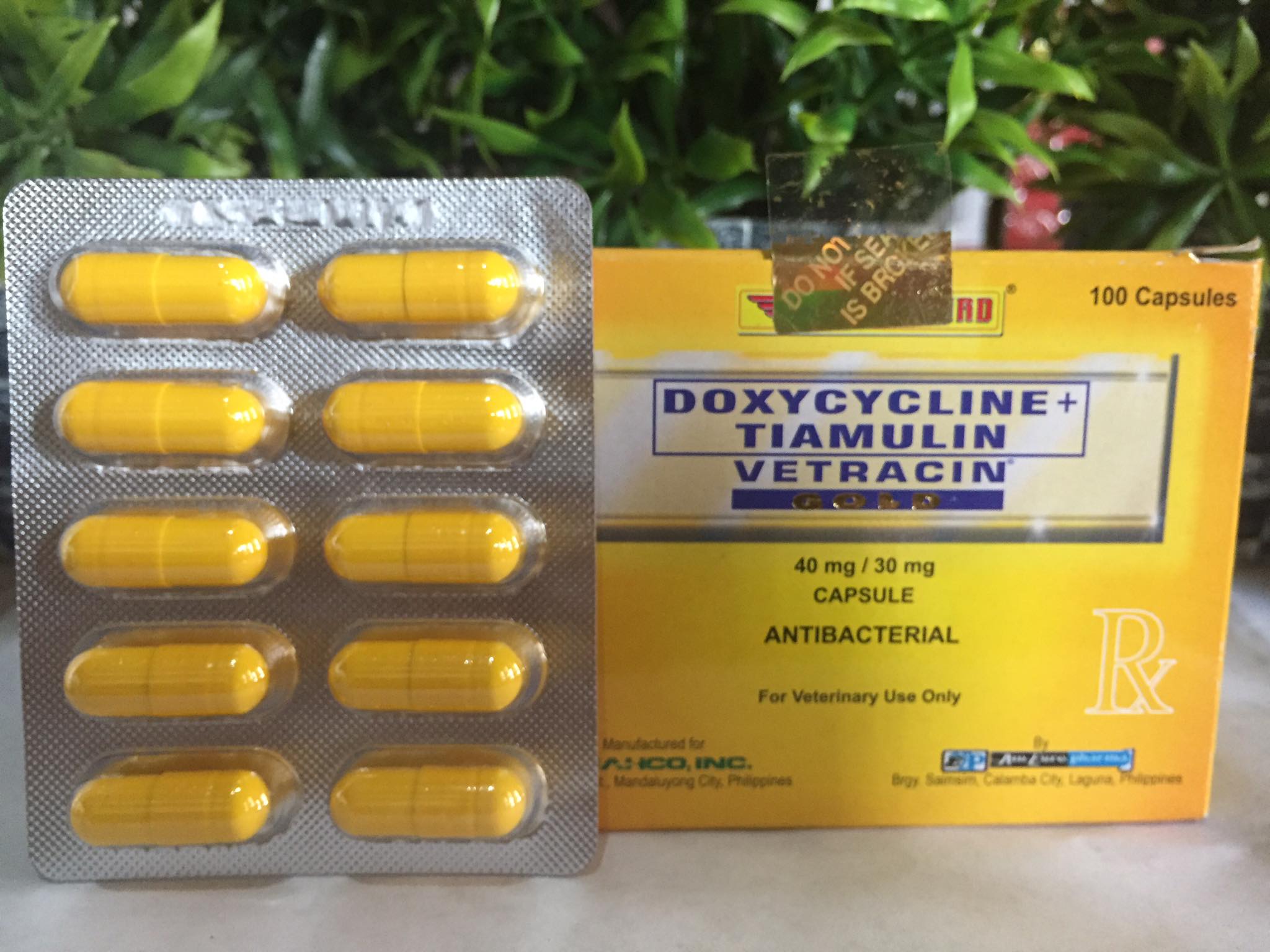 Vetracin Gold (10 capsule) | Lazada PH