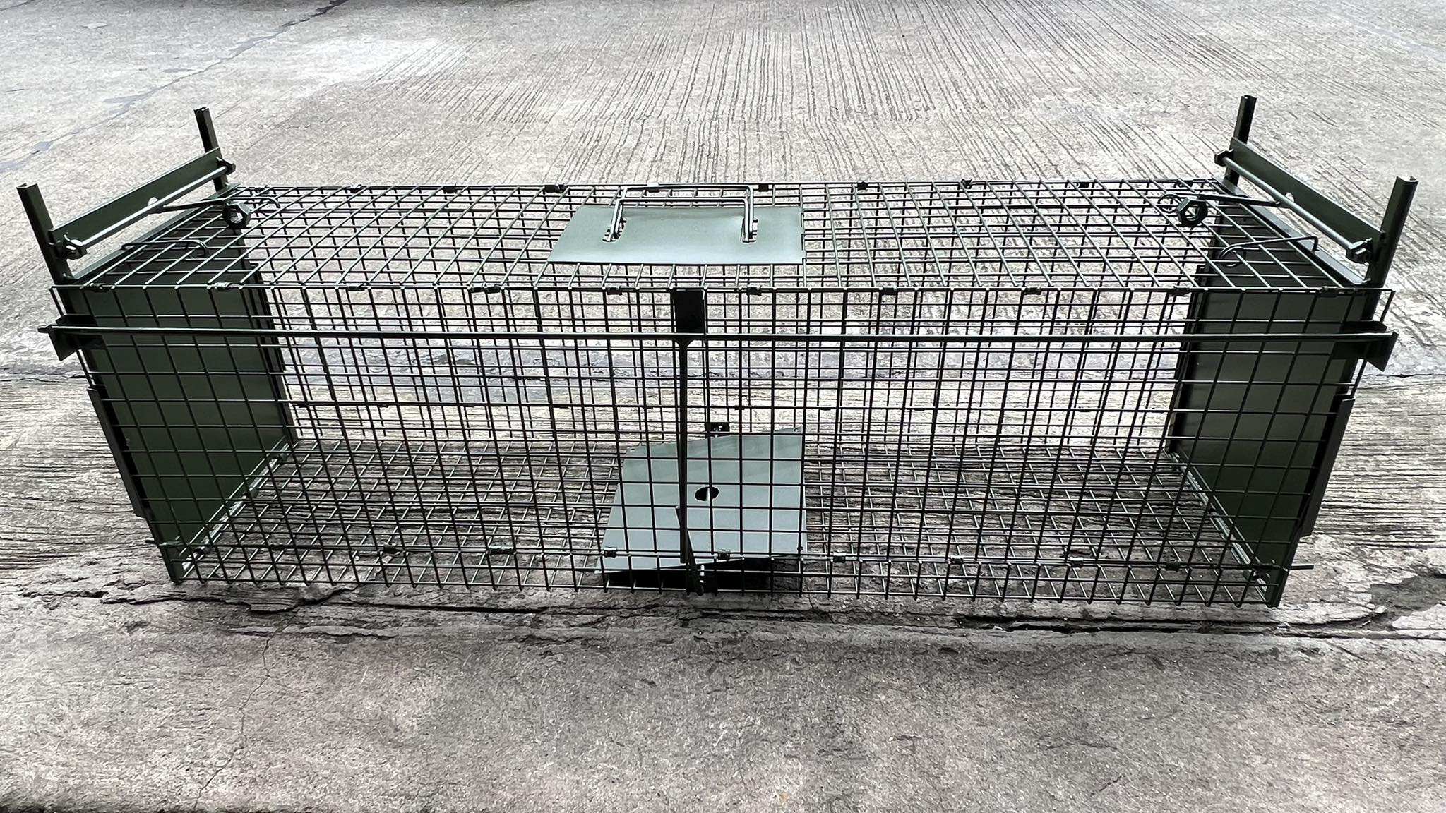 Solid Metal Foldable Cat trap Cage | Lazada PH