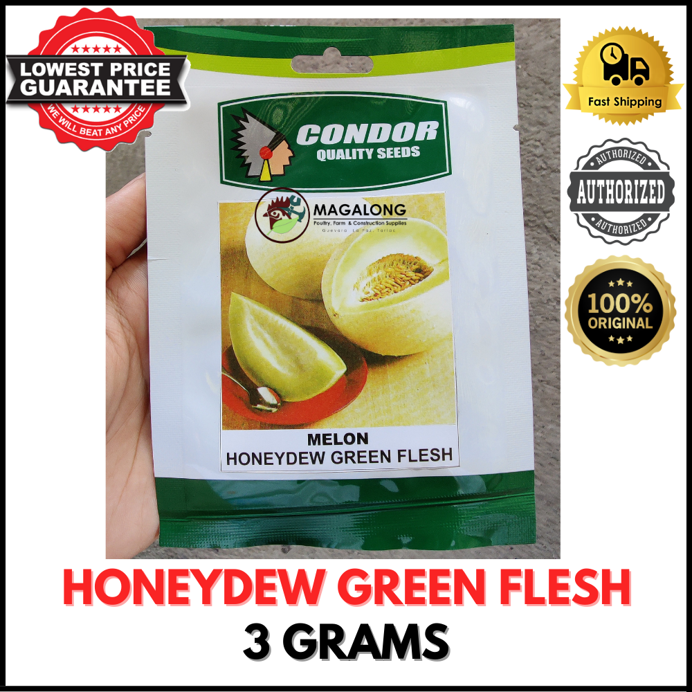 CONDOR SEEDS - MELON SEEDS - HONEY DEW GREEN FLESH - 3 GRAMS | Lazada PH