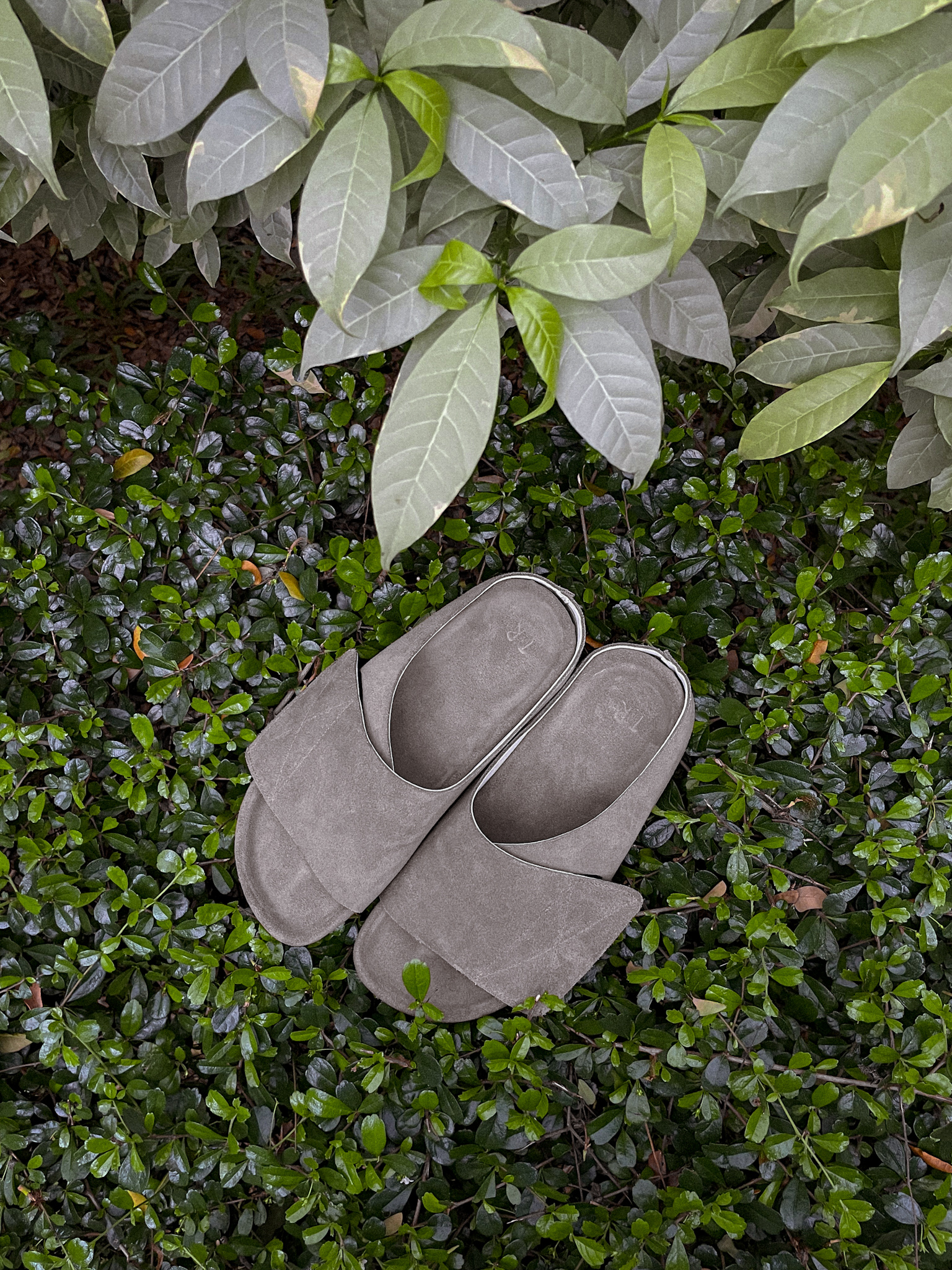 Thy Roots - Fricz Sandals | Lazada PH