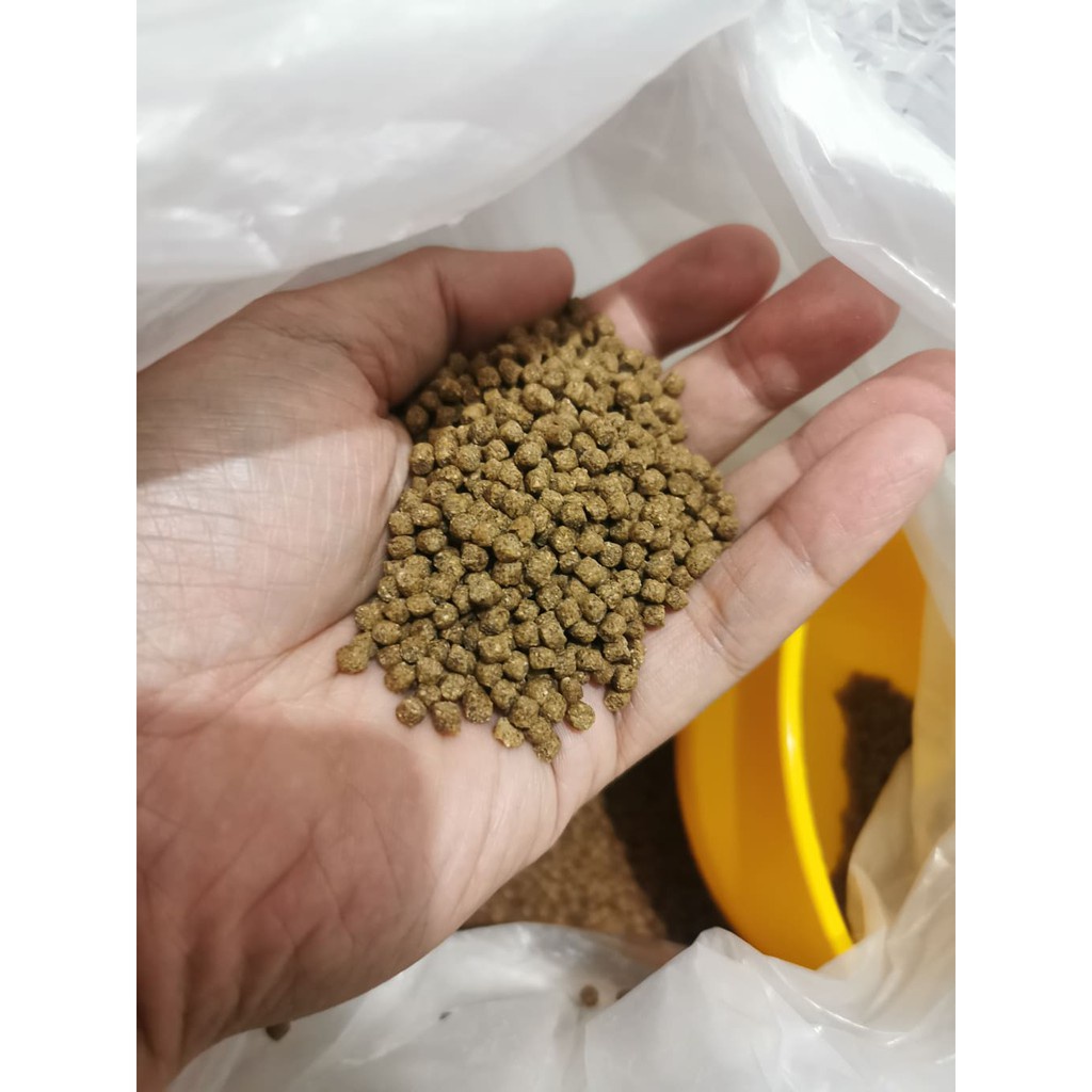 ;FQ Tateh Aquafeeds Surfer Grower 1kg Tilapia Catfish Milkfish Koi ...
