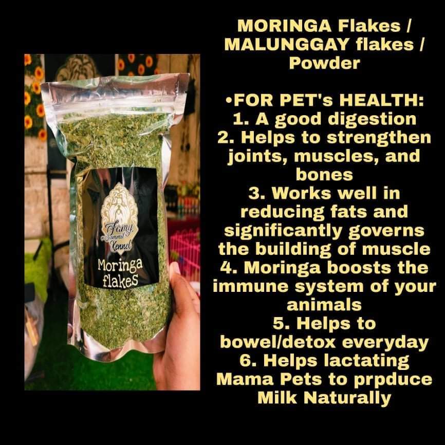 Moringa Flakes for Pets 100g | Lazada PH
